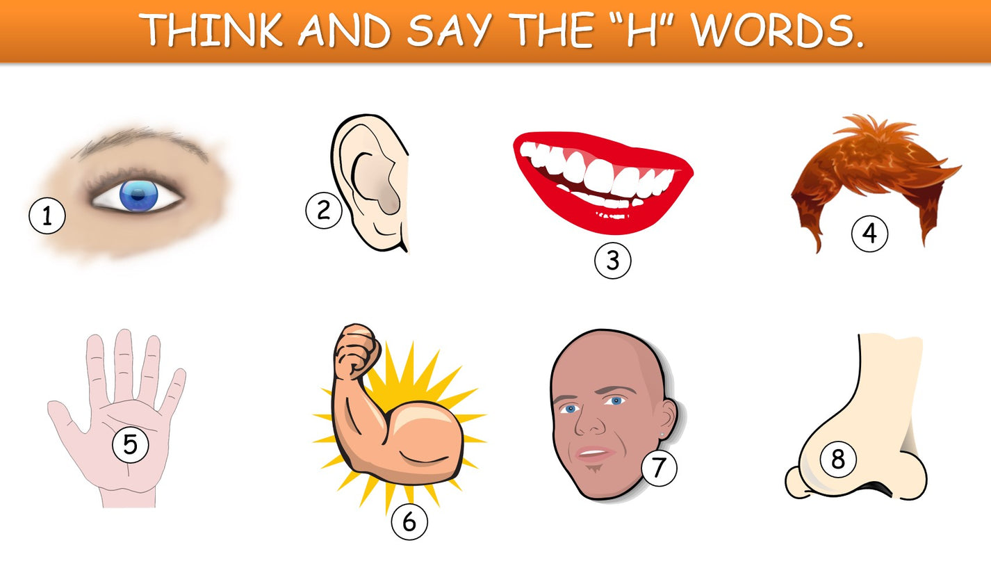 Body Parts - Grade 1 PowerPoint Lesson (This vs. These) – Teacher Val