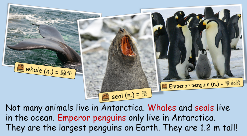 Antarctica - Grade 5-6 PowerPoint Lesson – Teacher Val