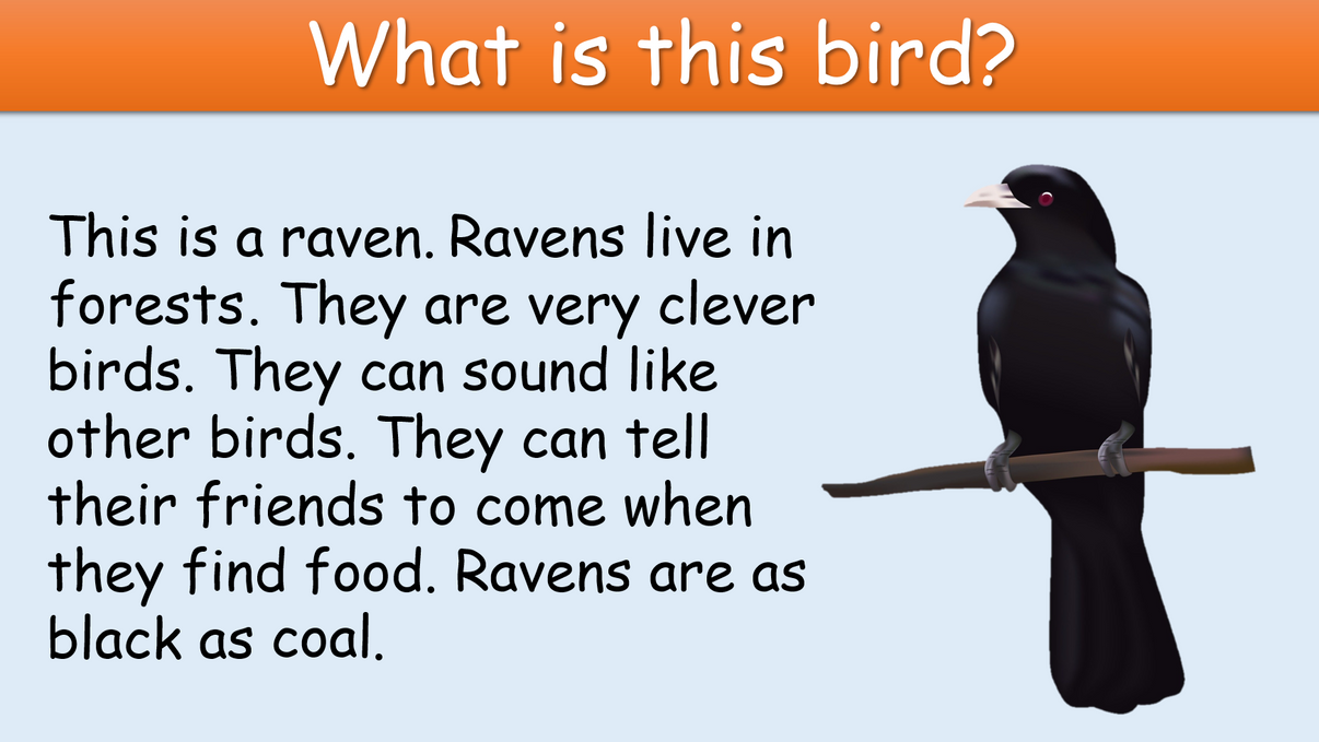 The Raven and the Swan - Grade 4-6 PowerPoint Lesson + Storyboard Temp ...
