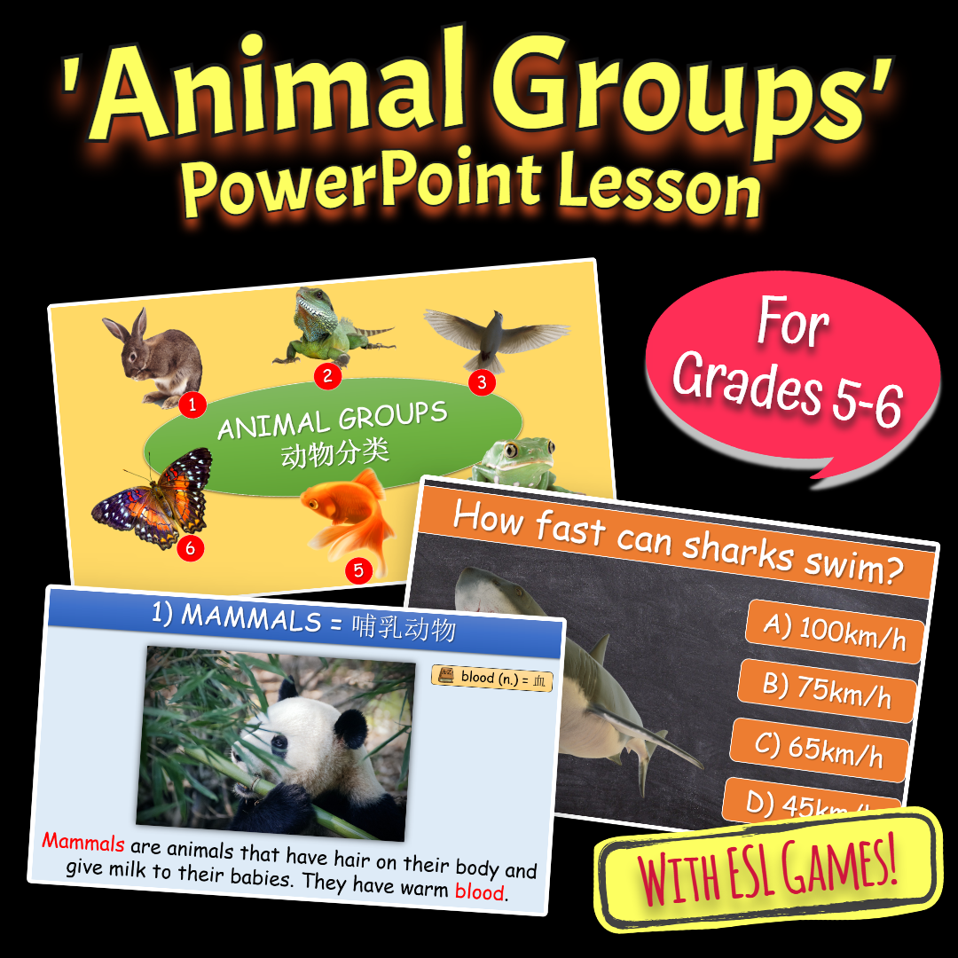 Animal Groups - Grade 5-6 PowerPoint Lesson – Teacher Val